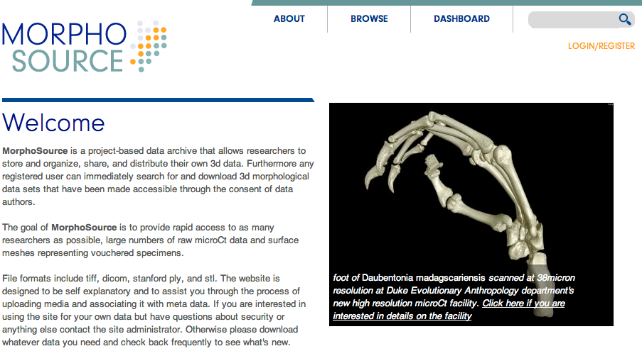 MorphoSource: An open-access, project-based web-archive where ...