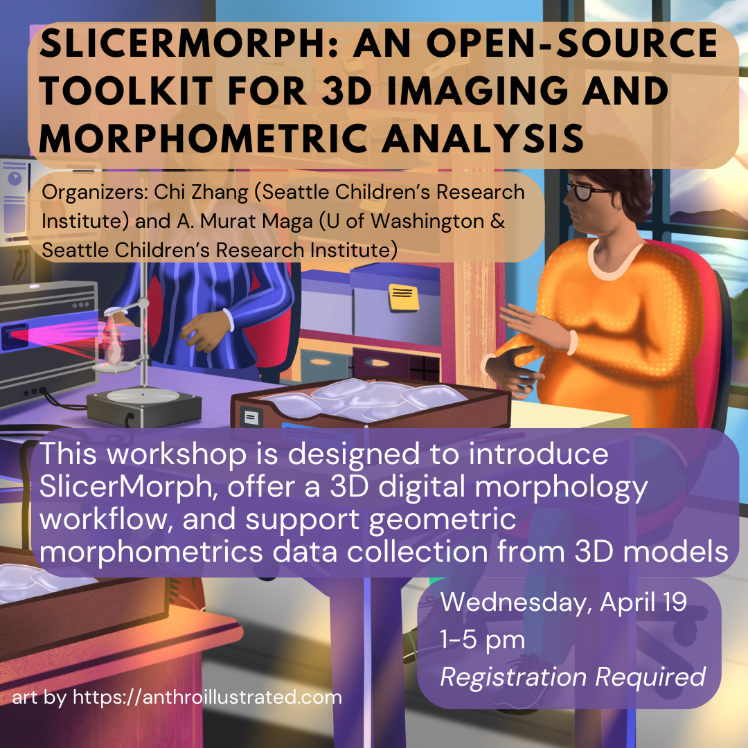 SlicerMorph 3D Morphometrics and Image Analysis Winter Workshop application is now open - AABA