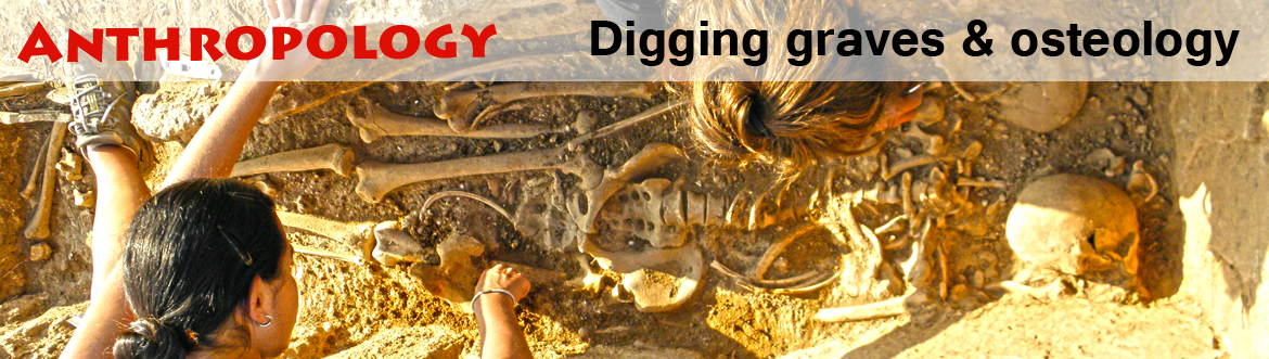 Information about new anthopological field schools 2015 - AABA