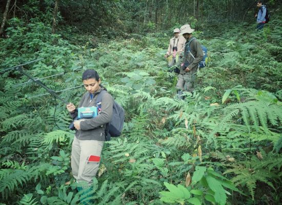 From Primates to Predators: The Conservation of India's Iconic Mammals ...