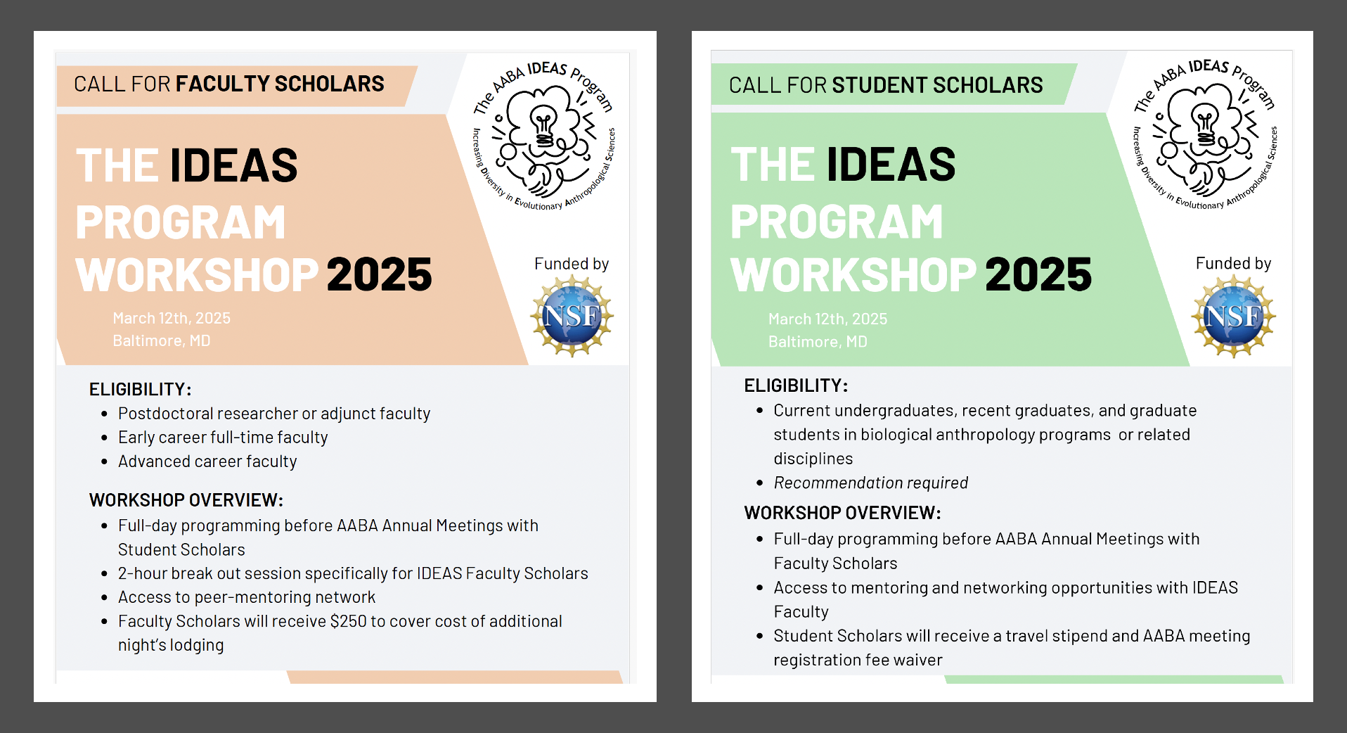 The 2025 IDEAS Program applications are now live! - AABA